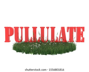 Stock Photo and Image Portfolio by quique328 | Shutterstock
