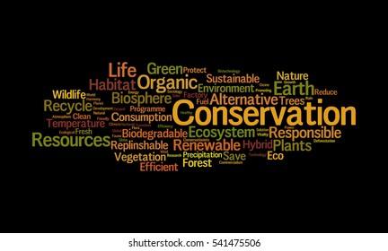 Word Cloud Conservation Stock Illustration 541475506 | Shutterstock