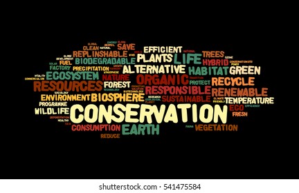 Conservation Word Cloud Stock Illustration 543734365