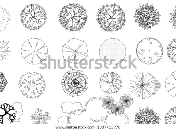 Write Blueprint Tree Plan Stock Illustration 1387715978 | Shutterstock