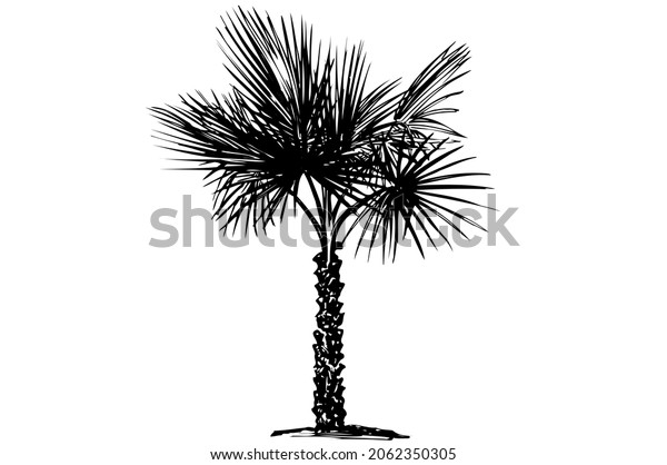 Writing Text Design Background Text Backgrounds Stock Illustration ...