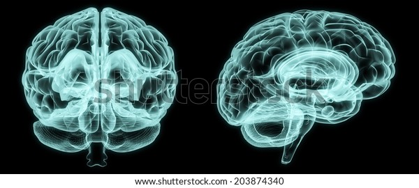 Xray Front Side Brain Brightness Blue Stock Illustration 203874340