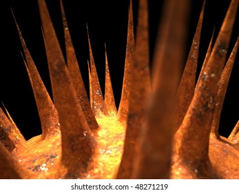 Xray Rust