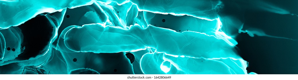 Xray Texture Close Human Bone Render Stock Illustration 1642806649 ...