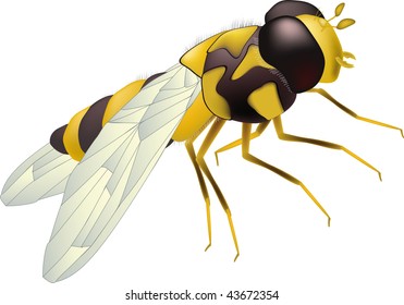Yellow Bee Stock Vector (Royalty Free) 25751227 | Shutterstock