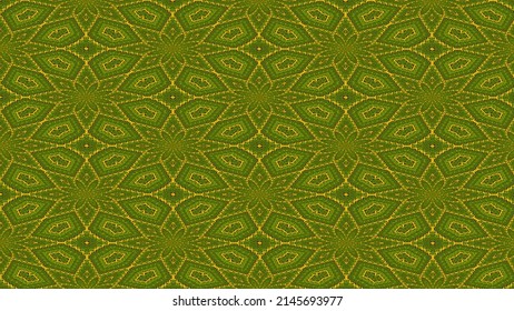 658 Octagonal wraps Images, Stock Photos & Vectors | Shutterstock