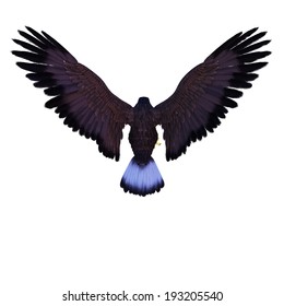 94 Eagle Back View Flying Images, Stock Photos & Vectors | Shutterstock