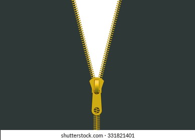 Gold Zipper Vector Mode Stock Vector (Royalty Free) 24373840