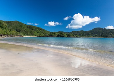 20 imágenes de Neshiko - Imágenes, fotos y vectores de stock | Shutterstock