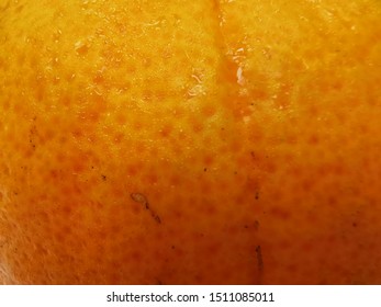 Stock Photo 1511085011 | Shutterstock