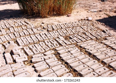 Gypt Images, Stock Photos & Vectors | Shutterstock
