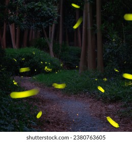 Fireflies Swarming Over Small Field Interesting AI-generated image ...