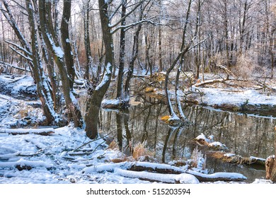 Large Tree Knocked Down By Winter Stock Photo 1511387291 | Shutterstock