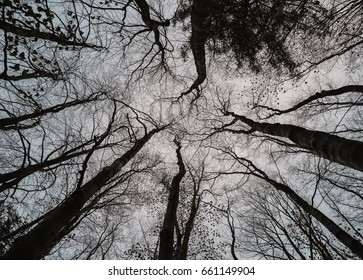 由 adam_hajek 投稿的库存照片和图片组合 | Shutterstock