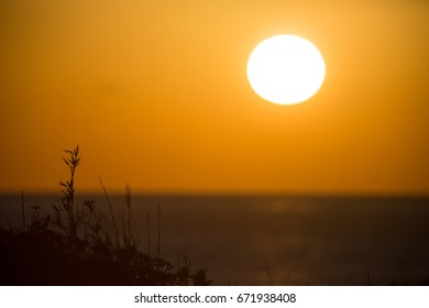 108 Sunset Bi Color Images, Stock Photos & Vectors | Shutterstock