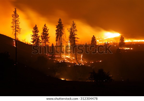 2015 Okanogan Complex Fire Trees Brush Stock Photo (Edit Now) 312304478