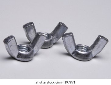 371 Wingnut Images, Stock Photos & Vectors | Shutterstock
