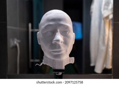 3d Printed Model Human Head Stock Photo 2097125758 | Shutterstock