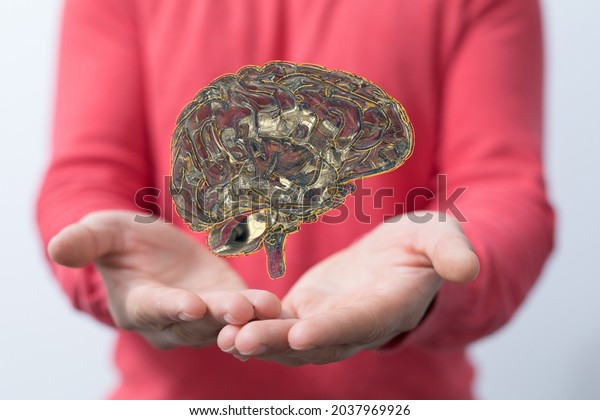 3d Rendering Floating Human Brain Above Stock Photo 2037969926 ...