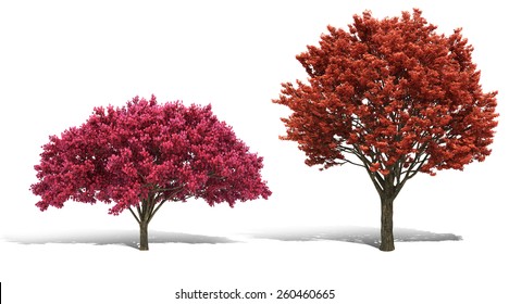 178,644 3d tree rendering Images, Stock Photos & Vectors | Shutterstock