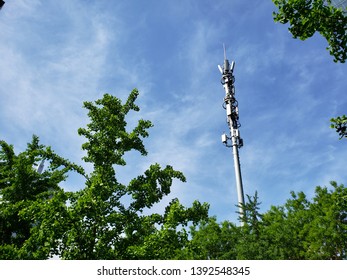 4g Network Tower Trees Stock Photo 1392548345 | Shutterstock