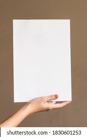 Hand Holding Blank Card On White Stock Photo 263604659 | Shutterstock