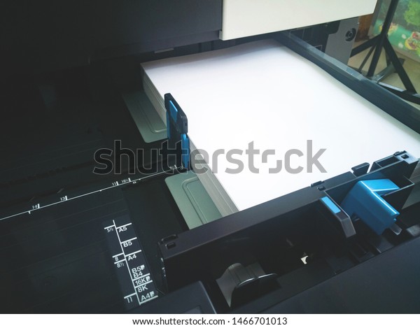 A4 Papers Tray Printer Stock Photo 1466701013 | Shutterstock