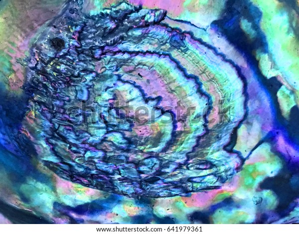 Abalone Shell Background Stock Photo 641979361 | Shutterstock