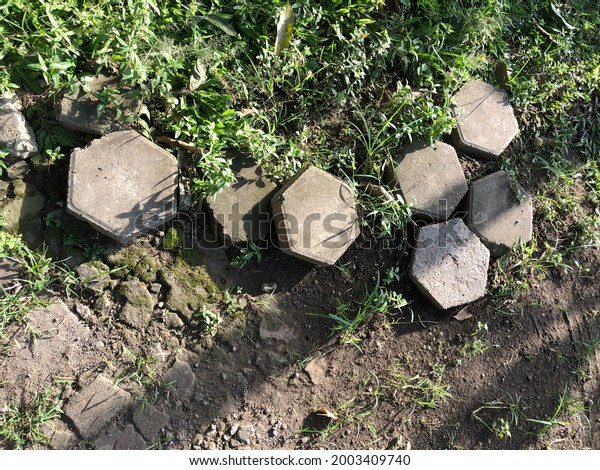 Abandoned Corn Block Spread Out Garden Stock Photo 2003409740 ...