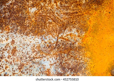 Spinal Cord Cross Section Under Microscope Stock Photo (Edit Now ...