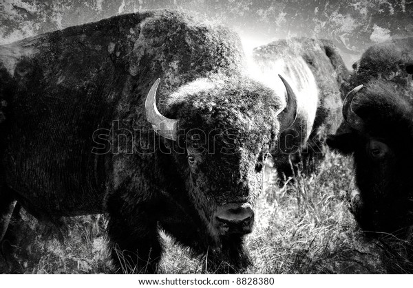 Abstract Bison Texture Stock Photo 8828380 | Shutterstock