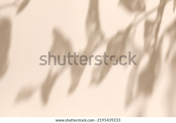 Abstract Diagonal Tree Leaves Shadows On Stock Photo 2195439233 ...