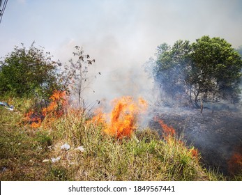 397 Floating Bonfire Stock Photos, Images & Photography | Shutterstock