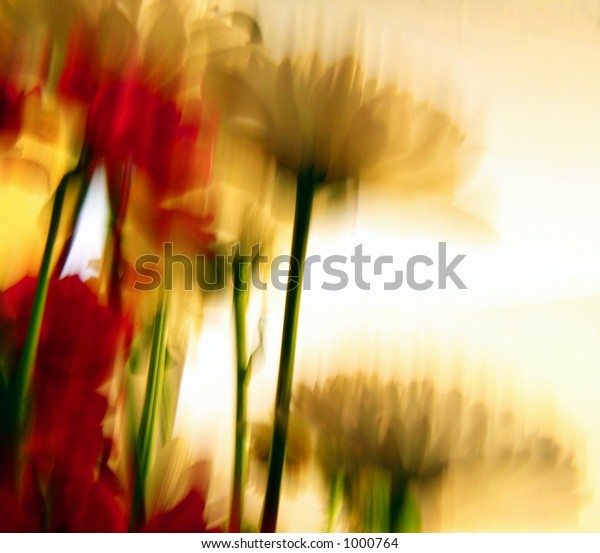 Abstract Flower Stock Photo (Edit Now) 1000764