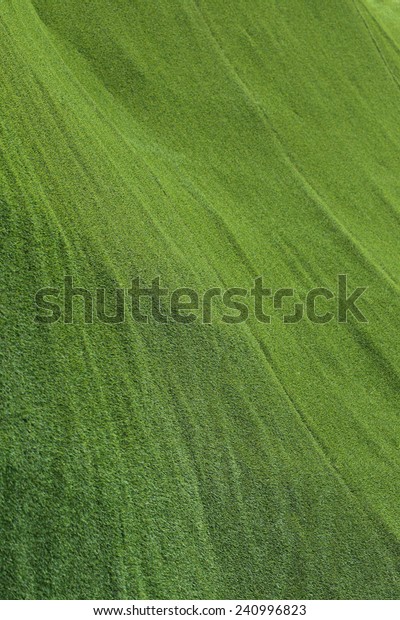 Abstract Grass Texture Background Artificial Green Stock Photo ...