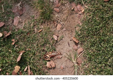 Abstract Ground Background Stock Photo 405220600 | Shutterstock