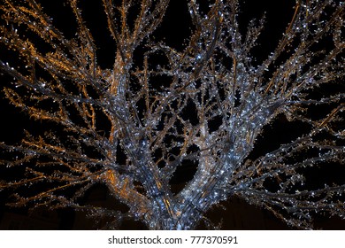 Abstract Light Background Light Tree Stock Photo 777370591 | Shutterstock