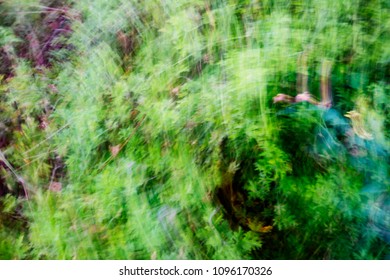 Abstract Motion Blur Effect Spring Blurred Stock Photo 1096170326 ...