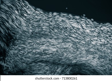 Abstract Pattern Foam Forming River Beautiful Stock Photo 713800261 ...
