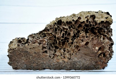 Abstract Pattern Termite Hill Isolated On Stock Photo 1399360772 ...