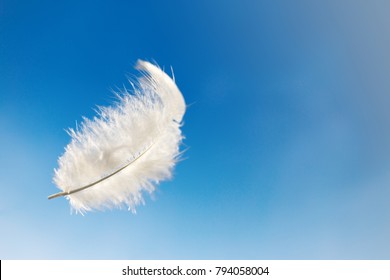 Abstract Single Light Feather Floating Blue Stock Photo 794058004 ...