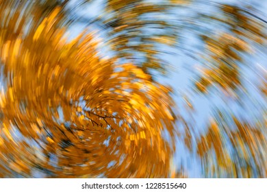 1,574 Vertigo trees 이미지, 스톡 사진 및 벡터 | Shutterstock