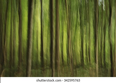 High Resolution Forest Panorama Stock Photo 1075282388 | Shutterstock