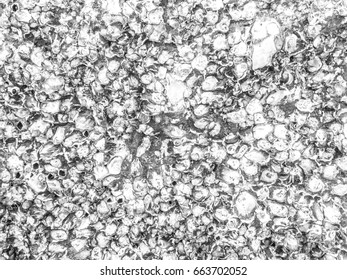 Abstract White Shell Wall Texture Background Stock Photo 663702052 ...