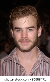 Actor David Gallagher World Premiere Los Stock Photo 96889471 ...