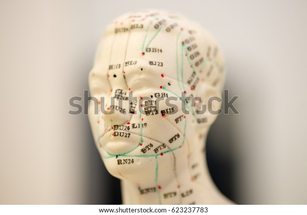 Acupuncture Head Points Stock Photo (Edit Now) 623237783