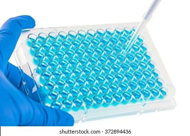 Adding Removing Samples 96 Well Plate Foto Stok 372894436 | Shutterstock