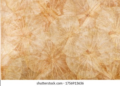 104,261 Advancing Background Images, Stock Photos & Vectors | Shutterstock