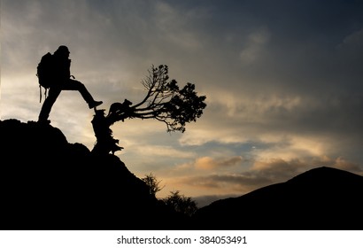 Adventurous Stock Photo 384053491 | Shutterstock
