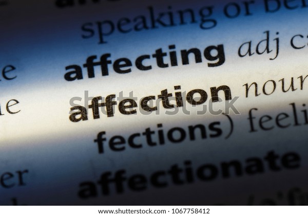 Affection Word Dictionary Affection Concept Stock Photo 1067758412 ...